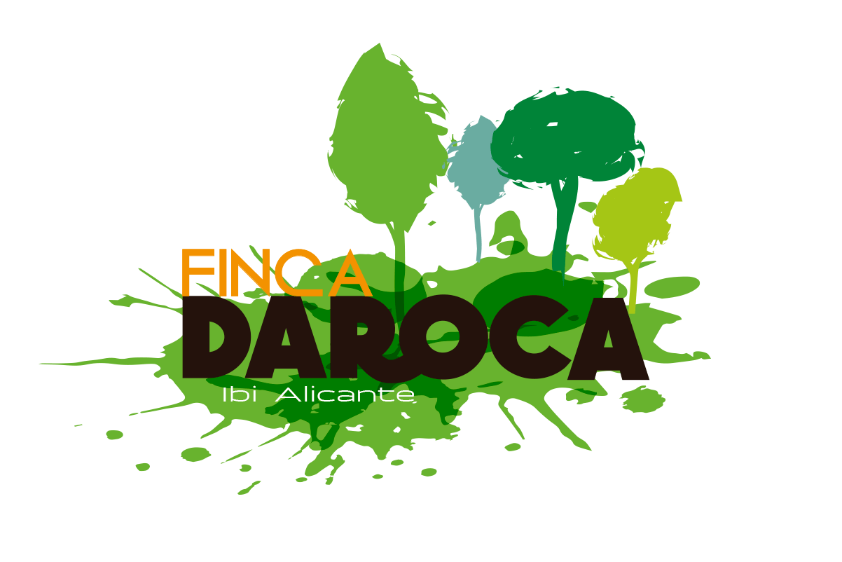 Marketing Digital | ZOHO CRM, Gestión Documental y Branding